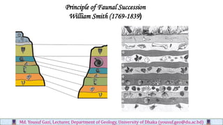Principle Of Faunal Succession