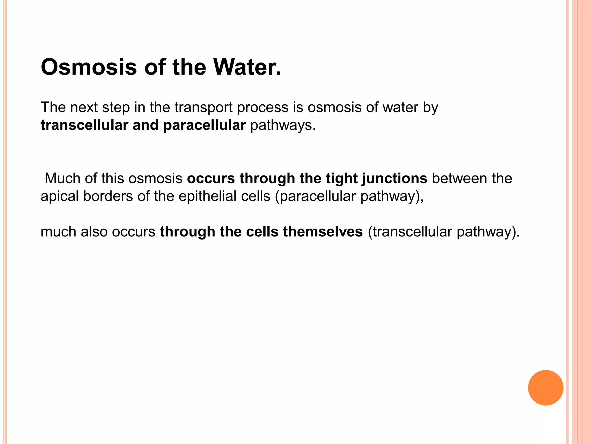basic principle of absorption.pptx