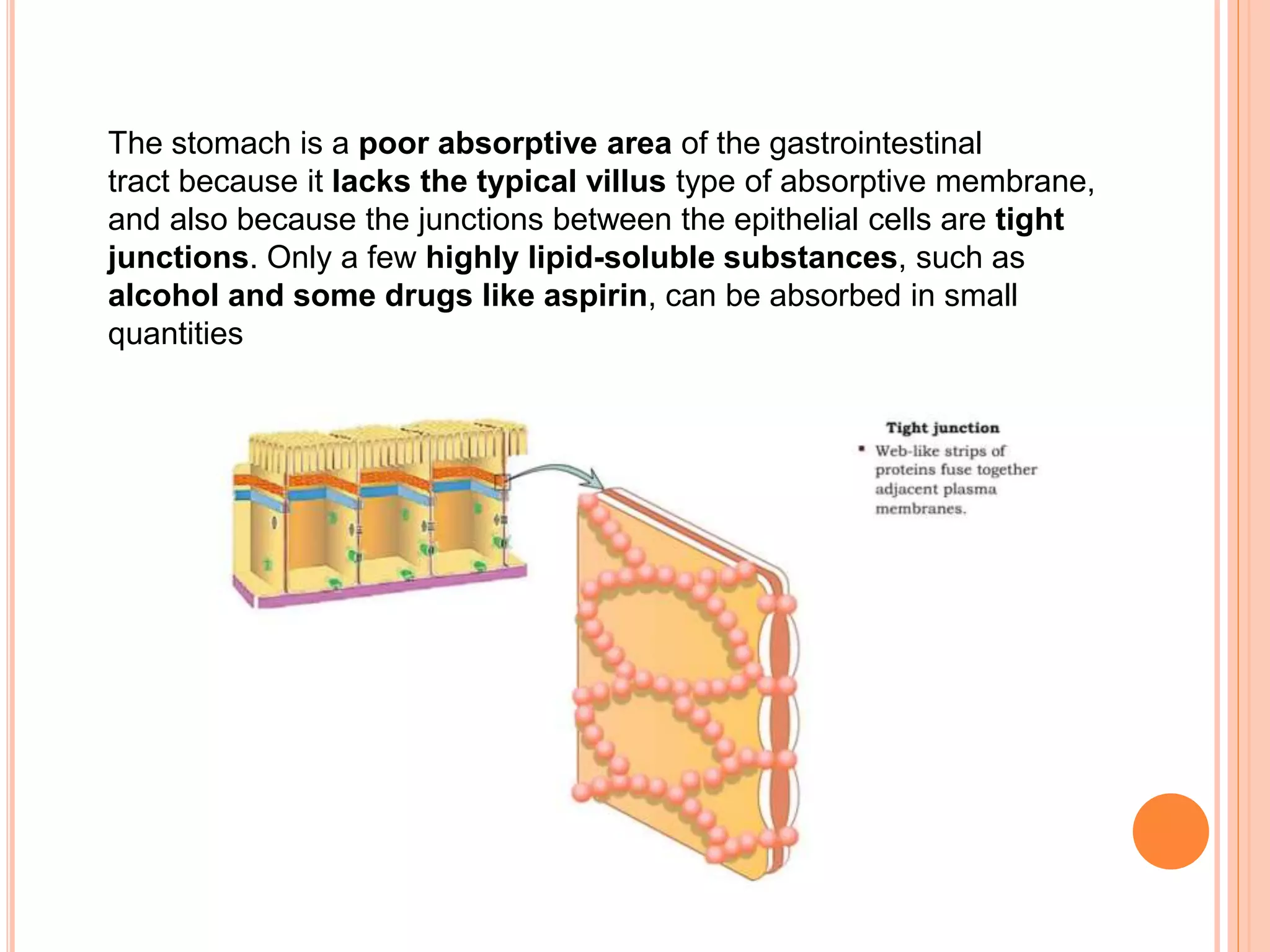 basic principle of absorption.pptx