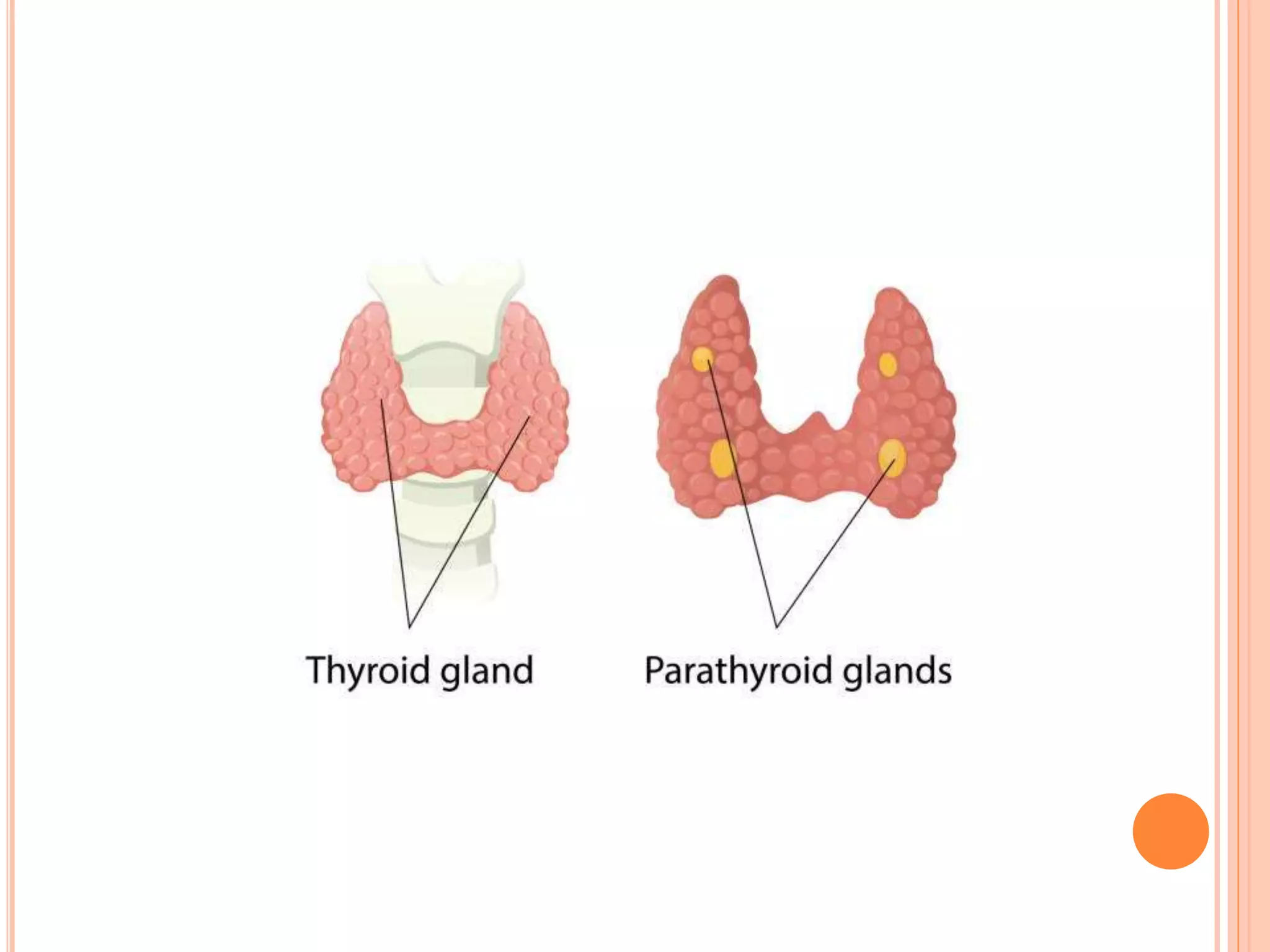 basic principle of absorption.pptx