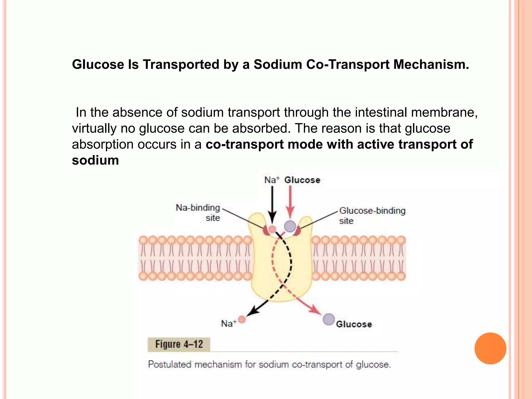 basic principle of absorption.pptx