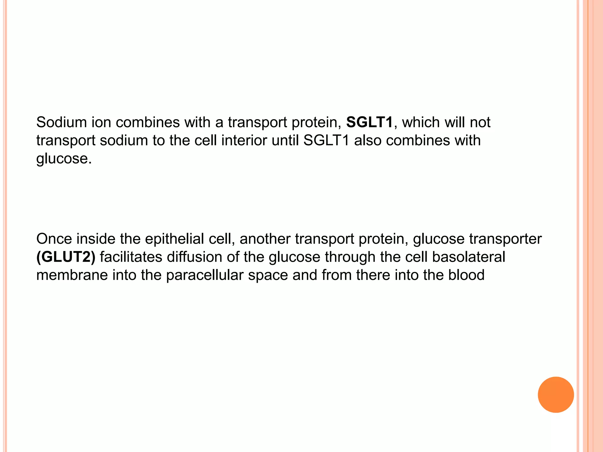 basic principle of absorption.pptx