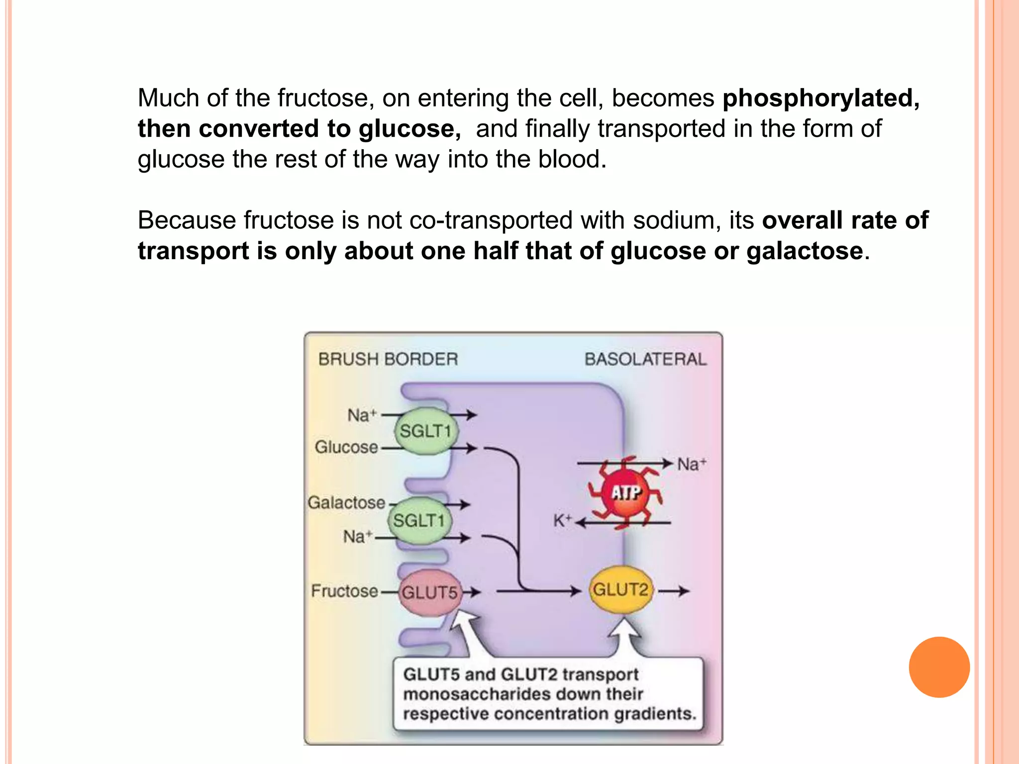 basic principle of absorption.pptx