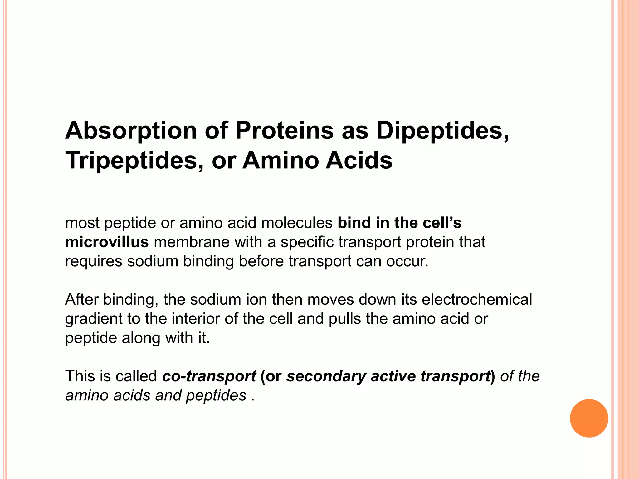 basic principle of absorption.pptx