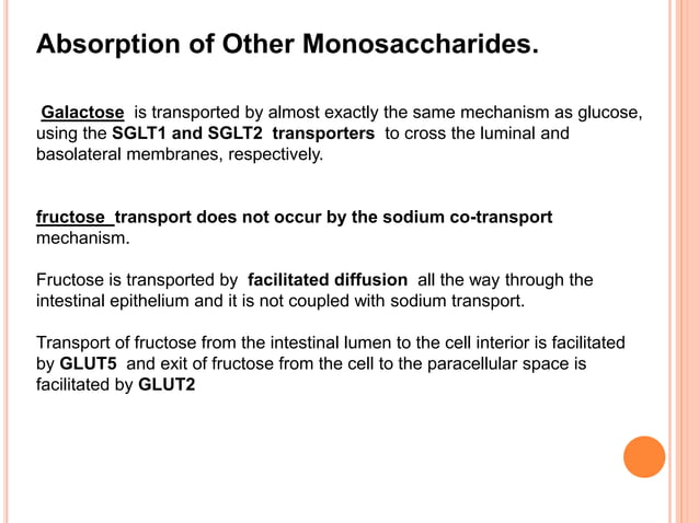 basic principle of absorption.pptx