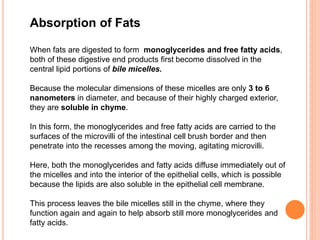 basic principle of absorption.pptx