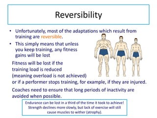 Basic Principle of Fitness | PPTX