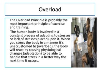 Basic Principle of Fitness | PPTX