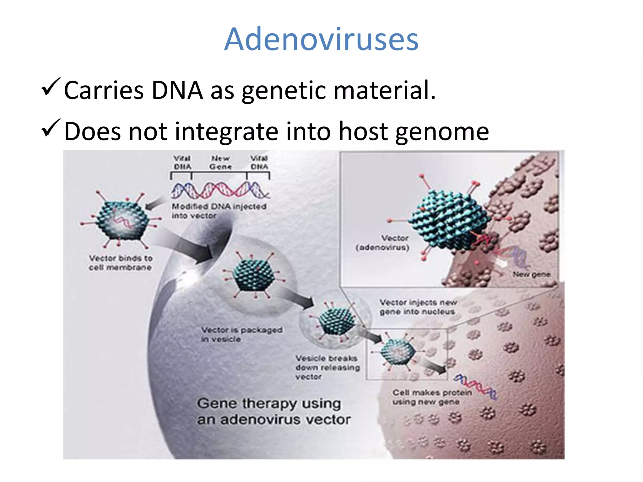 Basic principle of gene expression & methods of | PPTX