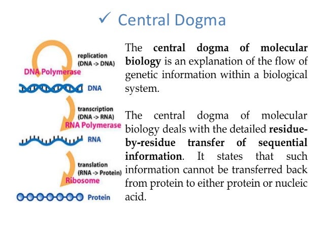 Basic principle of gene expression & methods of Basic principle of gene expression & methods of