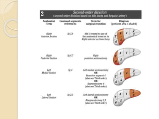 Basic principle of liver resection | PPTX | Surgery | Medical Health