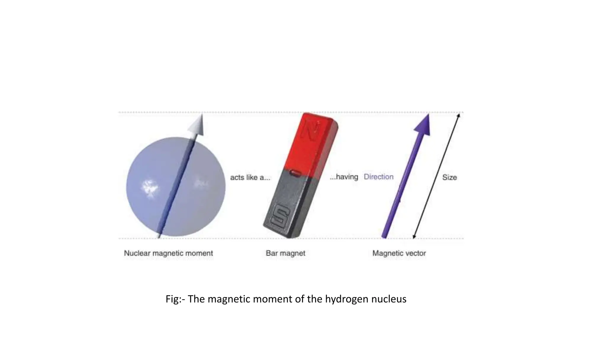 Basic principle of MRI | PPTX