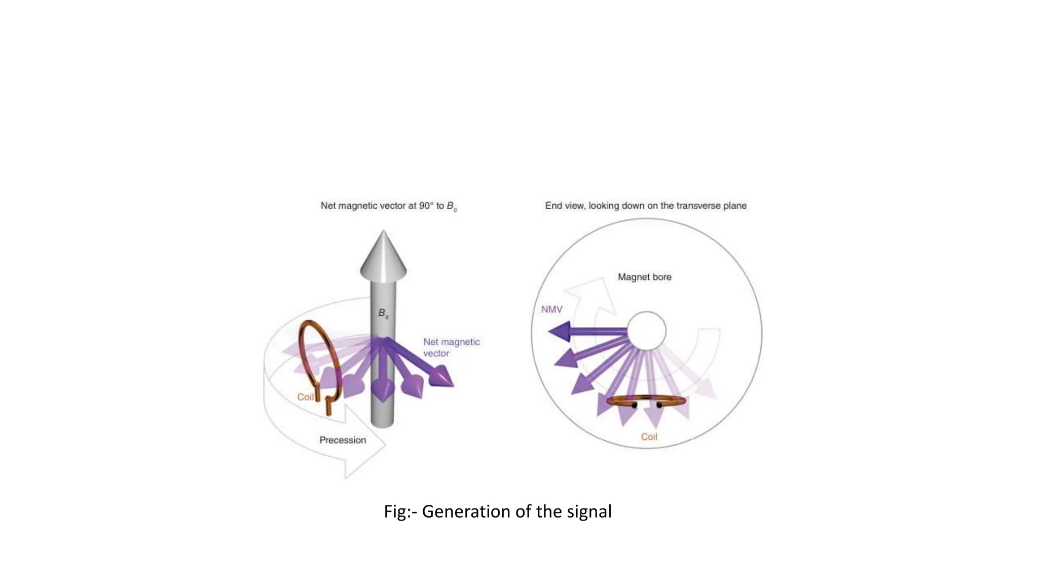 Basic principle of MRI | PPTX