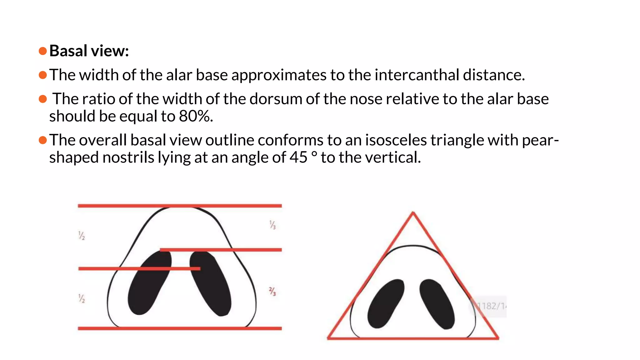 Basic principle of rhinoplasty. by venukumar.t | PPTX