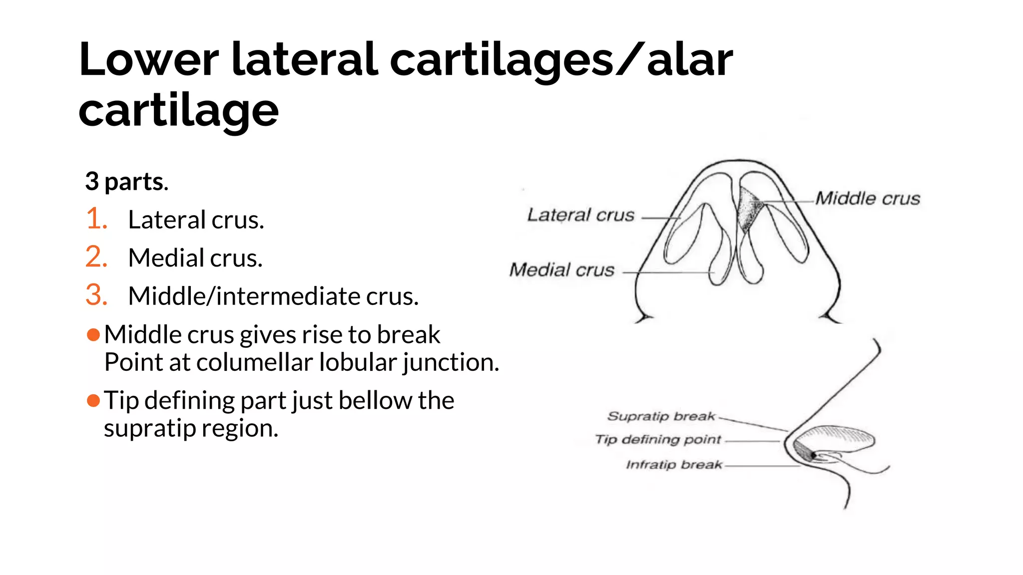 Basic principle of rhinoplasty. by venukumar.t | PPTX