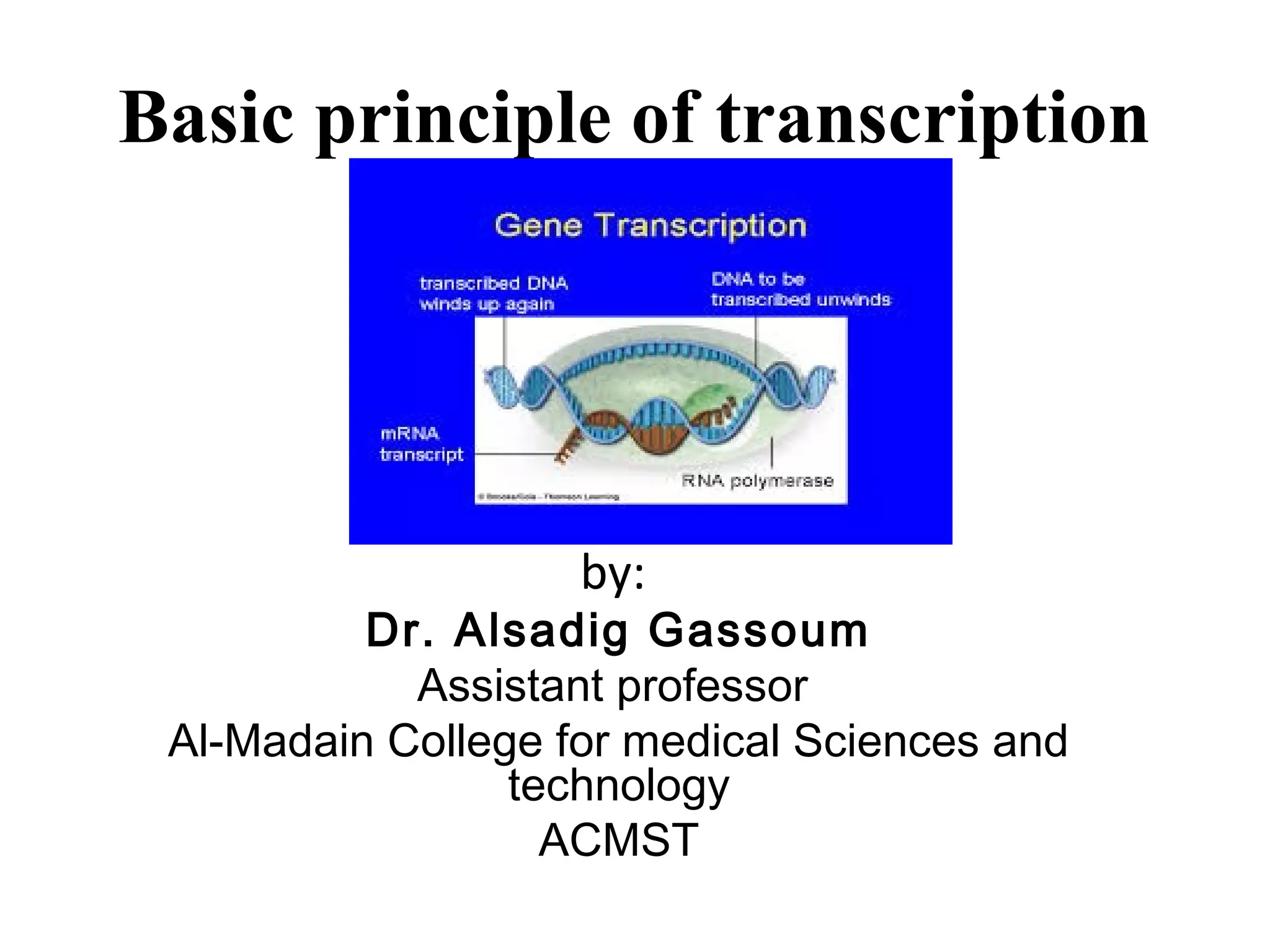 Basic principle of transcription | PPT