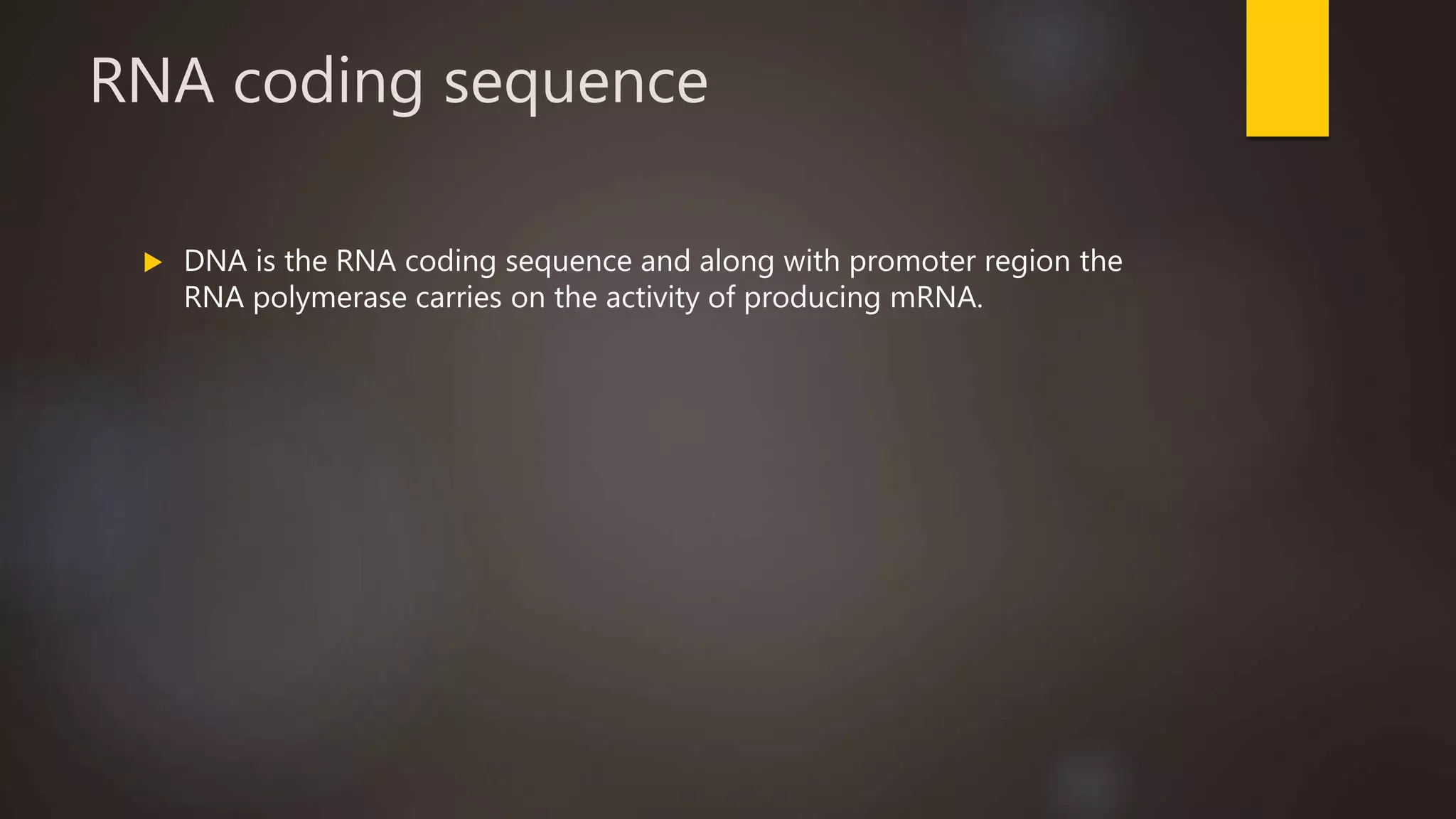 Basic principle of transcription, organization of transcriptional units ...