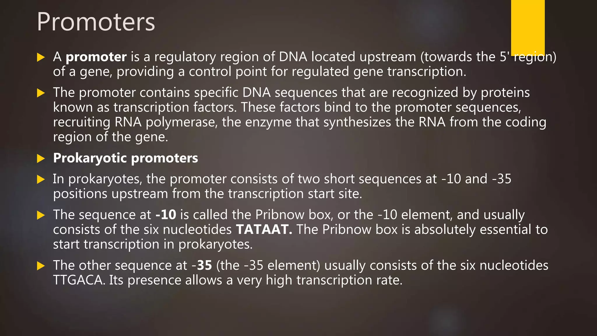 Basic principle of transcription, organization of transcriptional units ...
