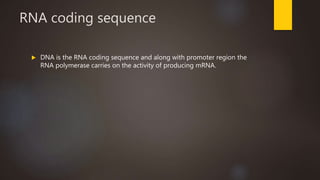 Basic principle of transcription, organization of transcriptional units ...