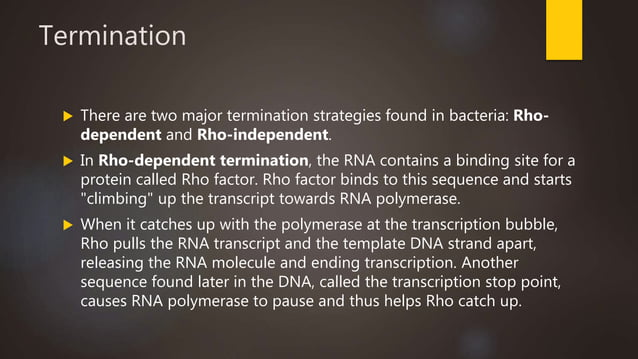 Basic principle of transcription, organization of transcriptional units ...