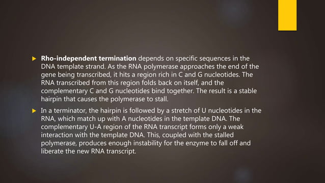 Basic principle of transcription, organization of transcriptional units ...