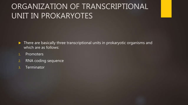 Basic principle of transcription, organization of transcriptional units ...