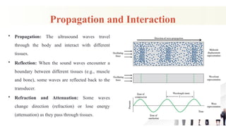 Basic Principle of Ultrasonography in detail | PPTX