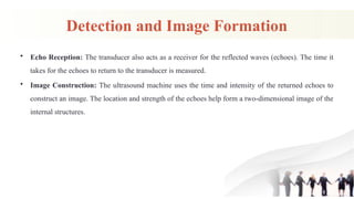 Basic Principle of Ultrasonography in detail | PPTX