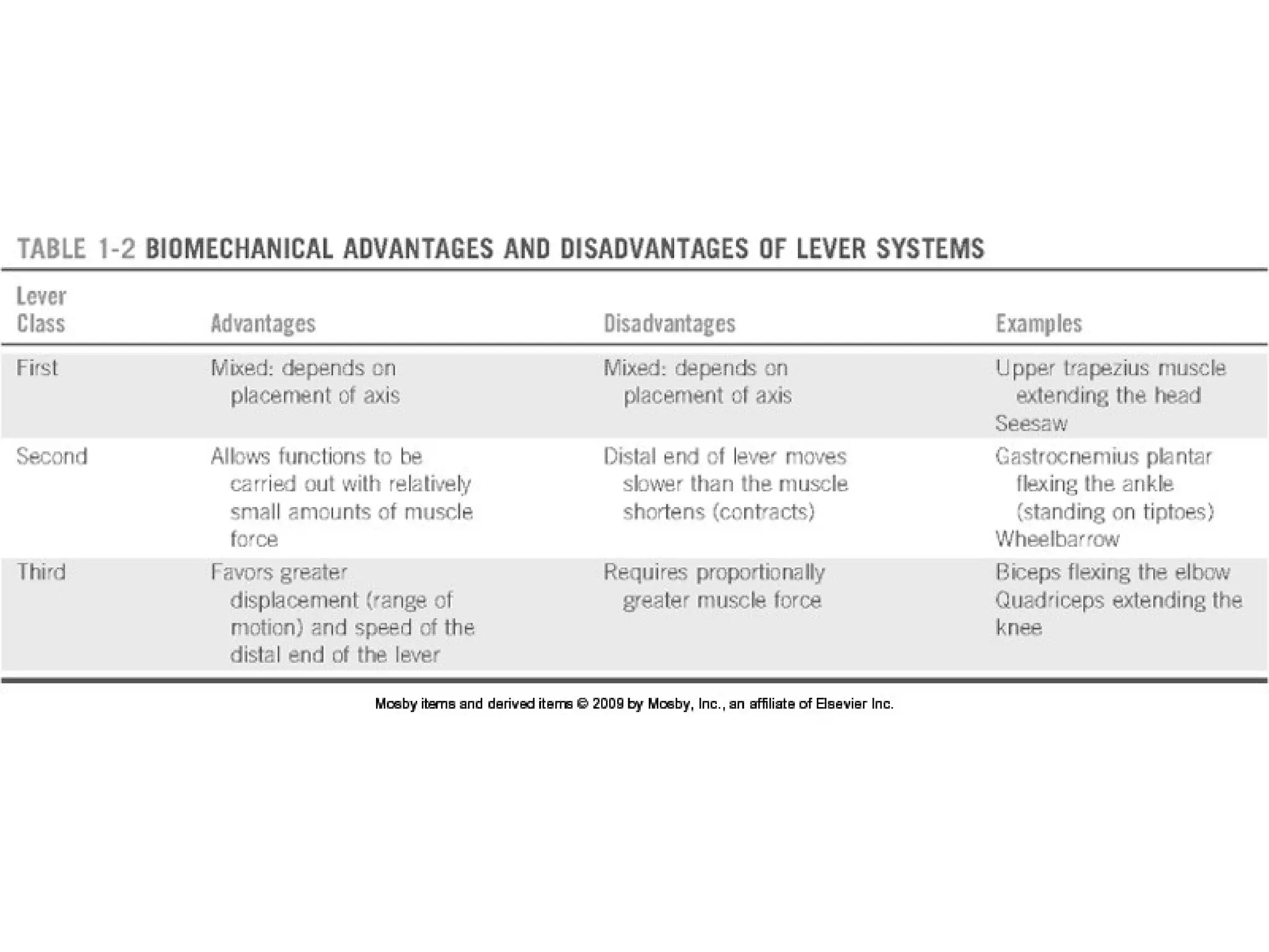 Basic principles of Kinesiology | PPT