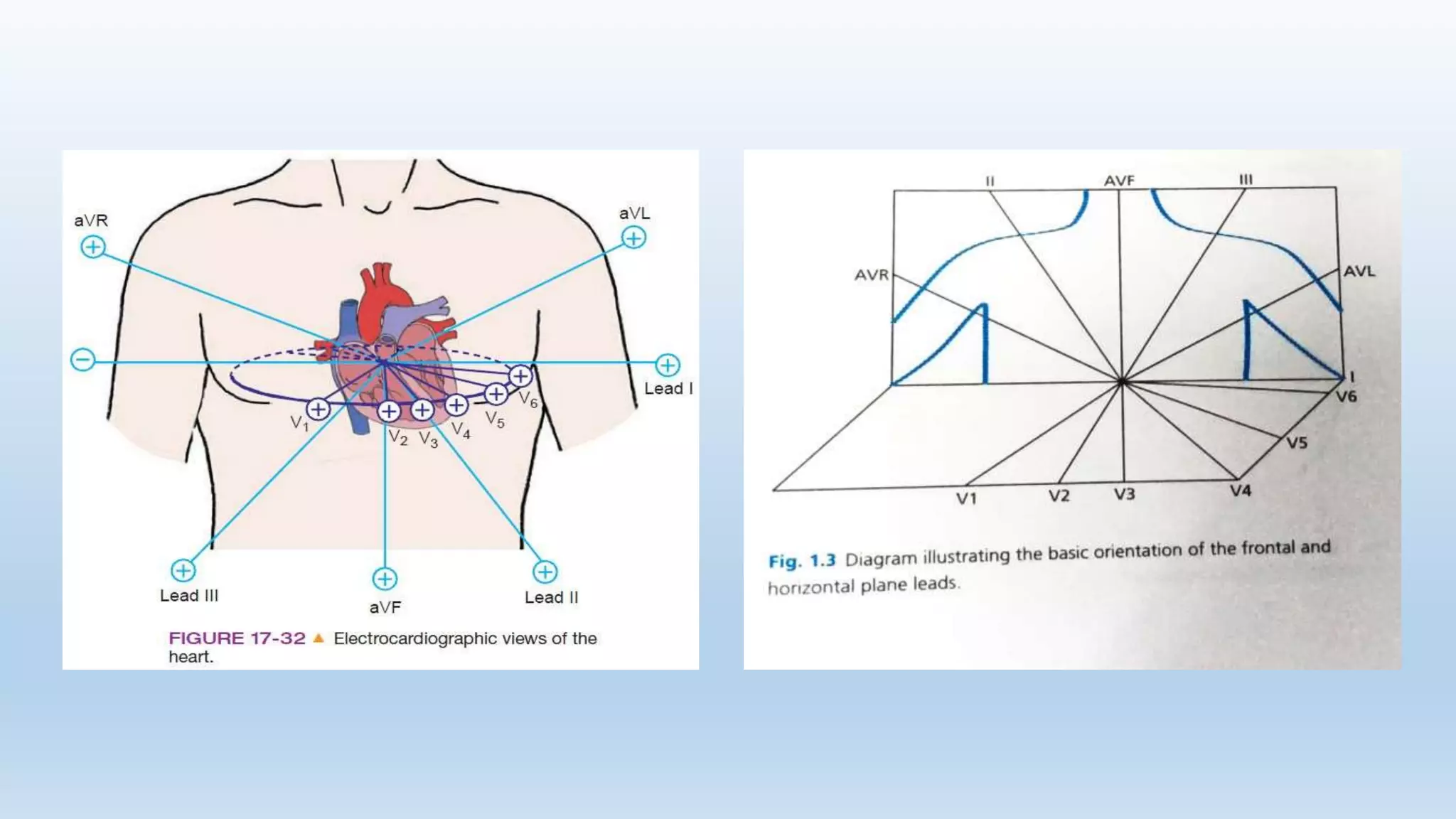 BASICS OF ECG pptx.pptx