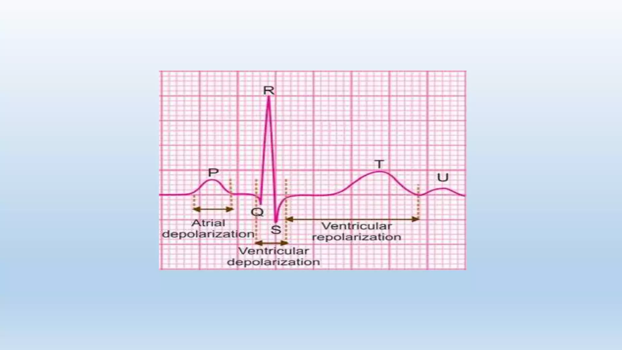 BASICS OF ECG pptx.pptx