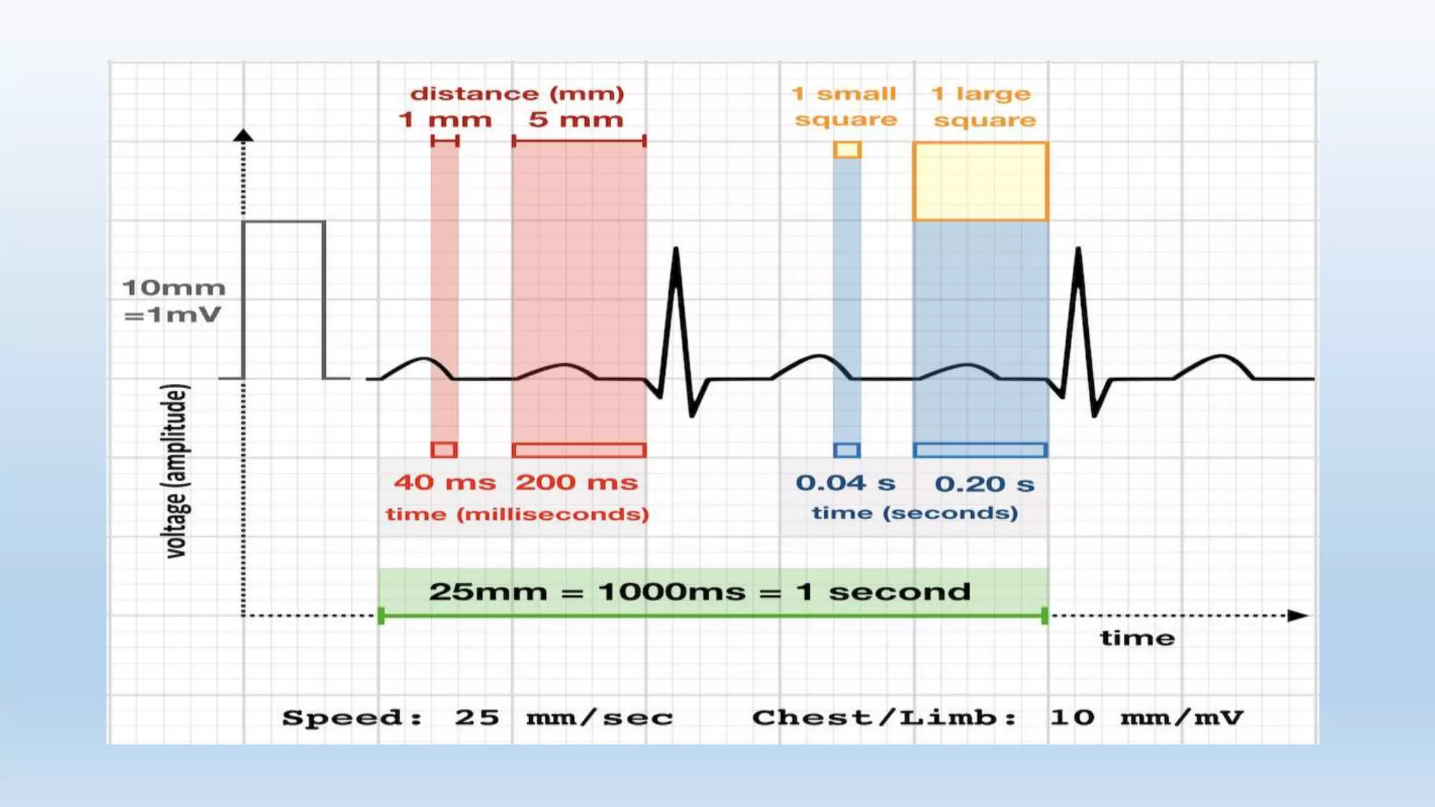 BASICS OF ECG pptx.pptx