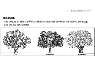 Basic principles and elements of art.ppt
