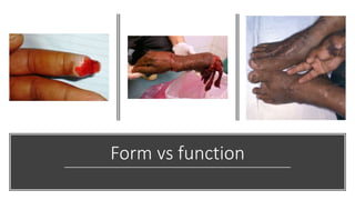 Basic principles and hand assessment | PPT