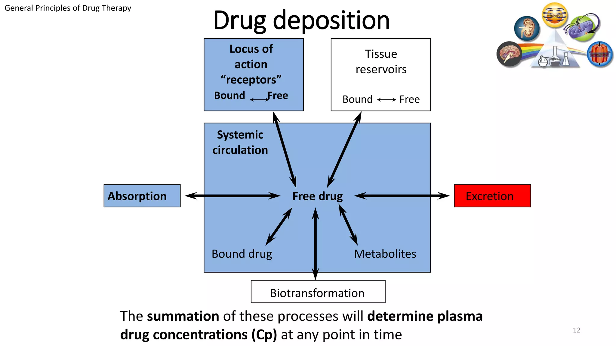 Pharmacology Definitions, Nomenclature and Pharmacodynamics I | PDF