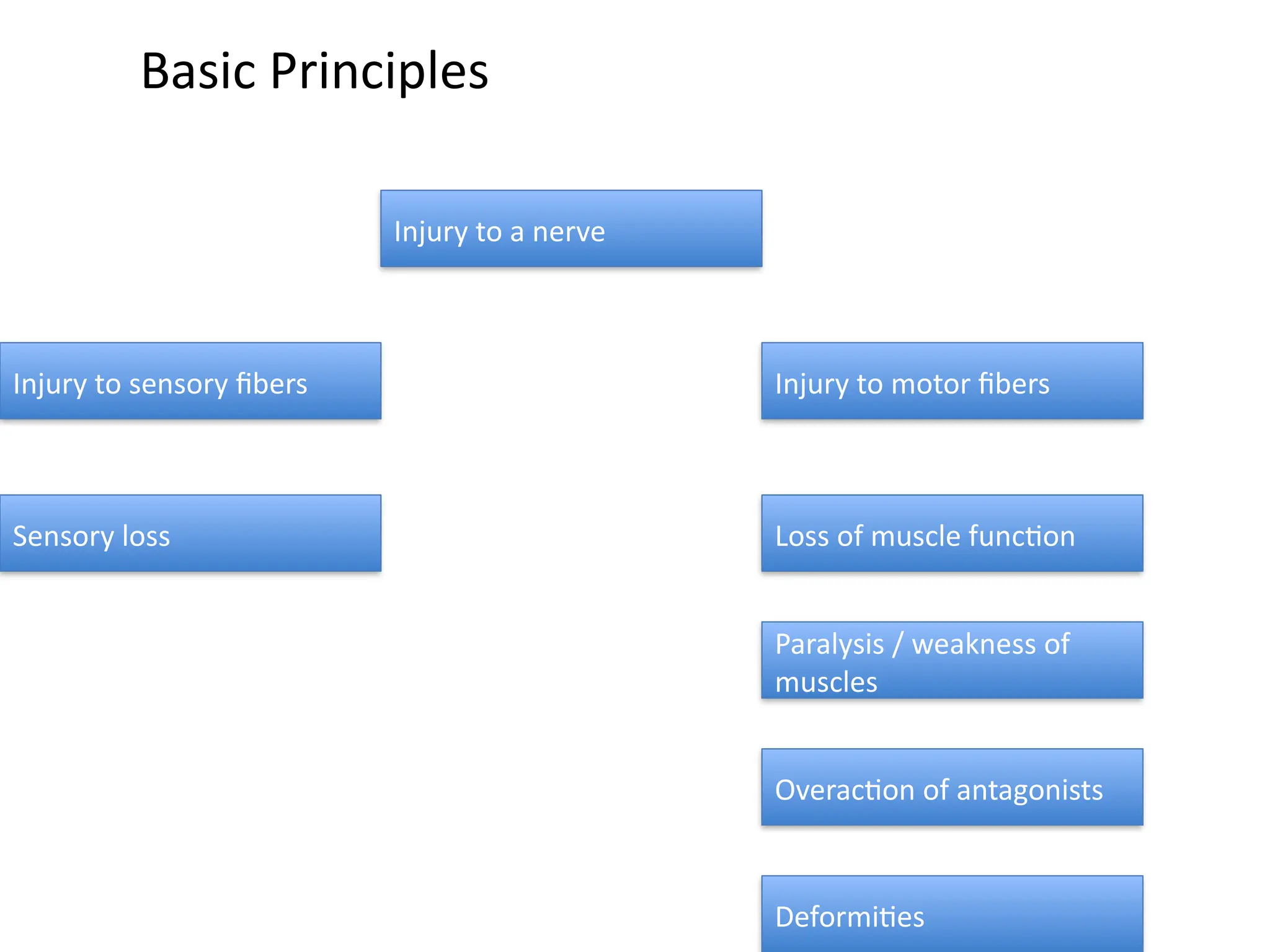 Basic_Principles_Flowchart ppt slides over medicine mbbs | PPTX