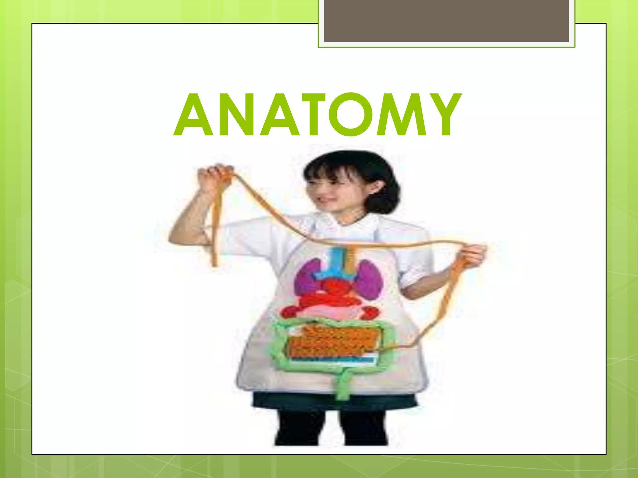 Basic principles in medicine vocabulary | PPT