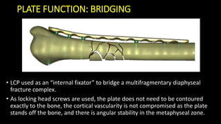 Basic principles internal fixation | PDF