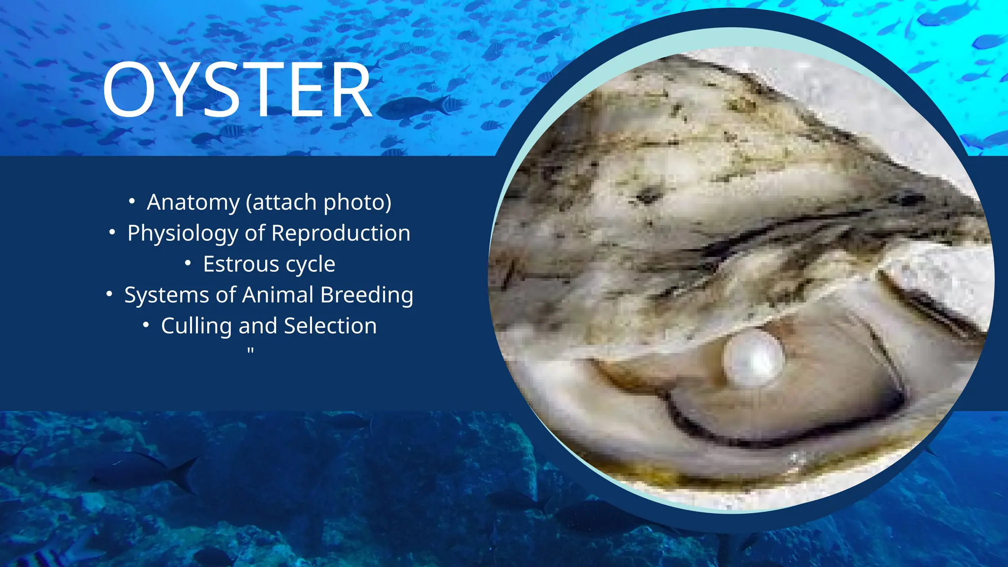 Basic Principles of Animal Breeding.pptx