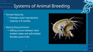 Basic Principles of Animal Breeding.pptx