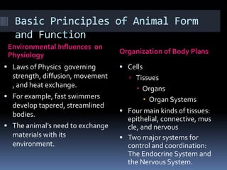 Basic principles of animal form and function | PPTX