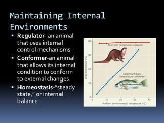 Basic principles of animal form and function | PPTX