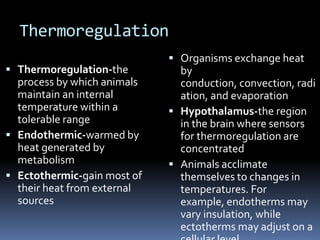 Basic principles of animal form and function | PPTX