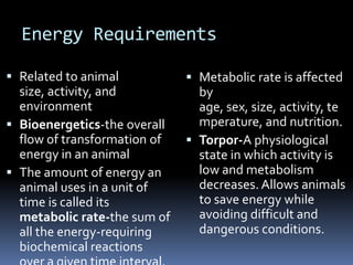 Basic principles of animal form and function | PPTX