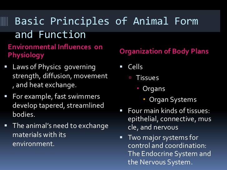 Basic principles of animal form and function Basic principles of animal form and function