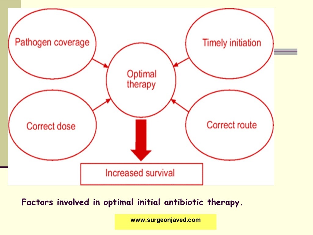 Basic principles of antimicrobial therapy