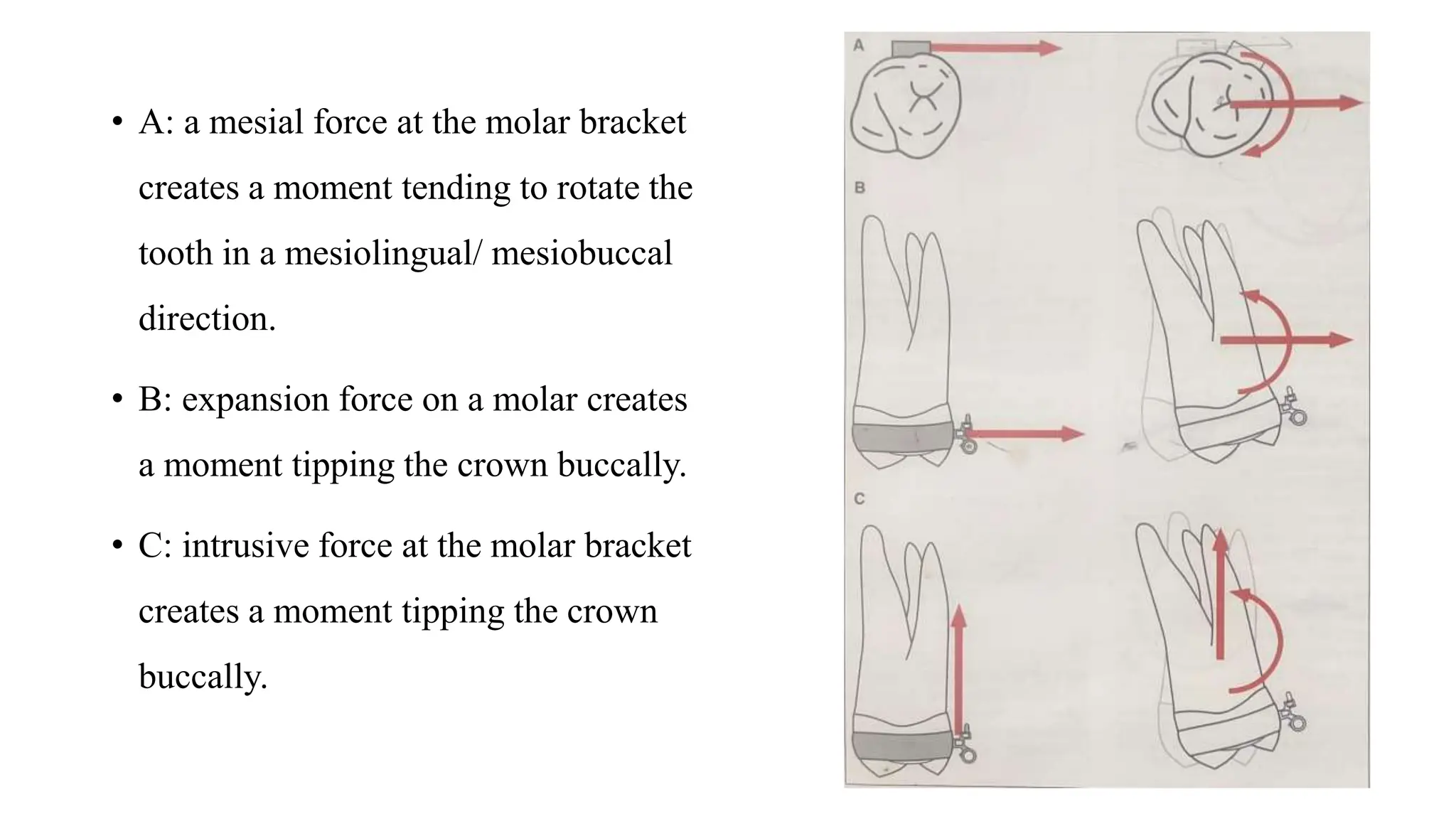 Basic Principles of Biomechanics.pptx