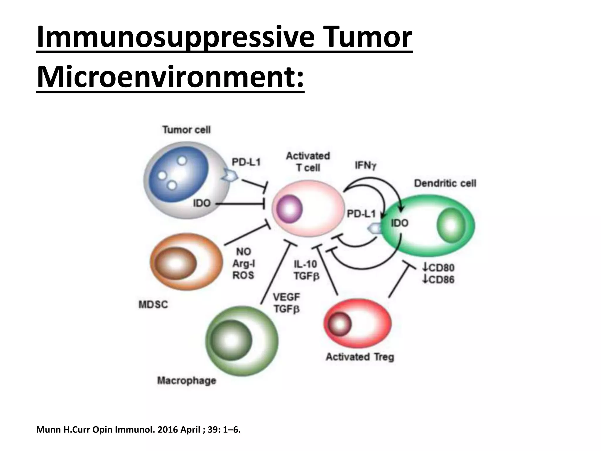 Basic principles of cancer immunotherapy | PPTX