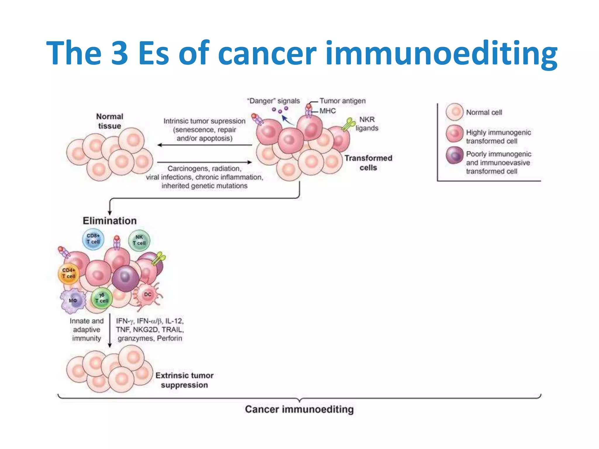 Basic principles of cancer immunotherapy | PPTX