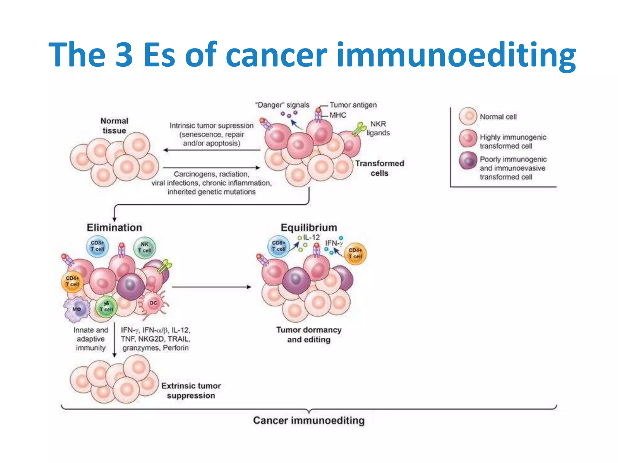 Basic Principles Of Cancer Immunotherapy Pptx